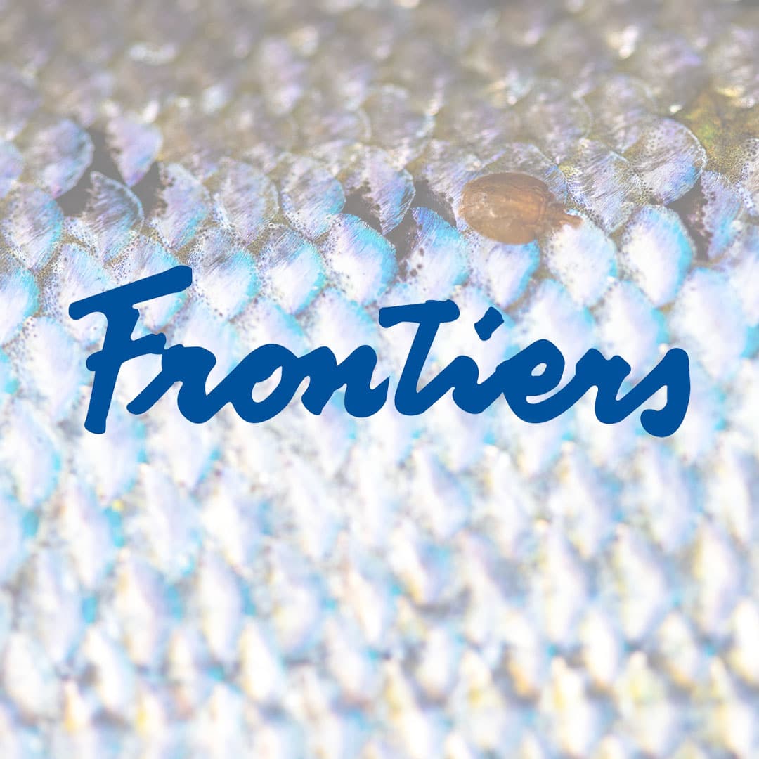 Fin & Game Global Partnership with Frontiers Travel